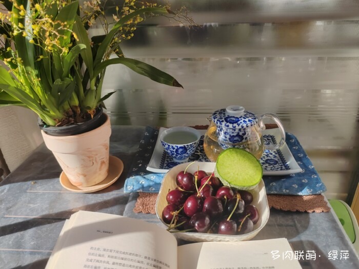 十二月，为多肉筑起光的暖房 – 多肉联萌